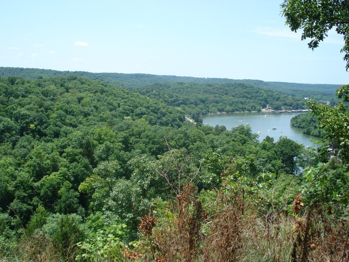 Summers at The Lake | Wherever Life Takes Me